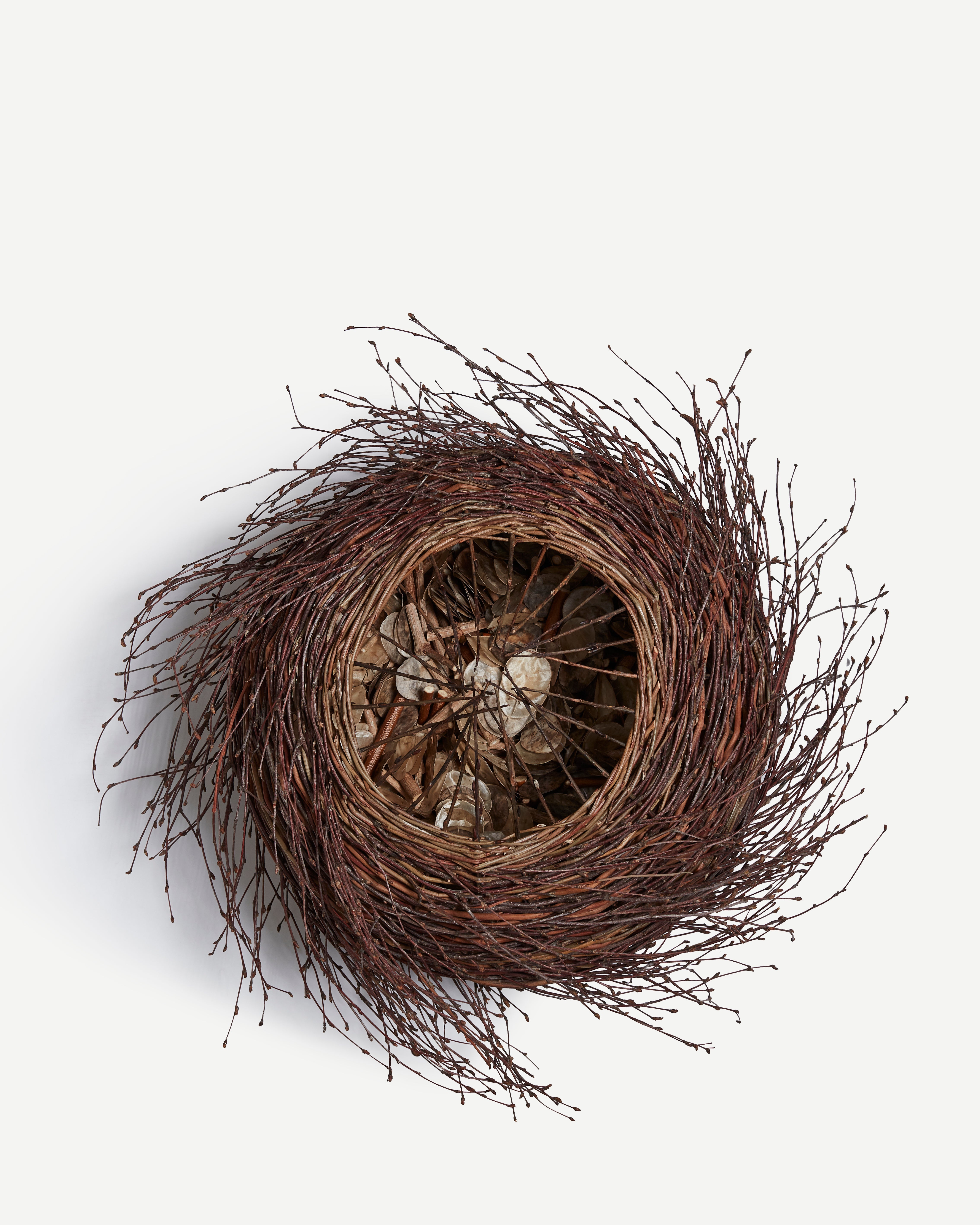 Caroline Sharp – The New Craftmaker